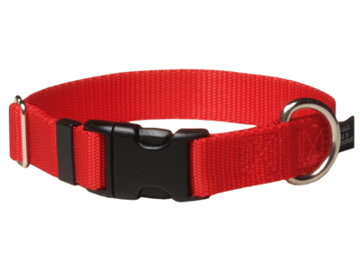 Dog Buckle Collar Matches Freedom No Pull Harness