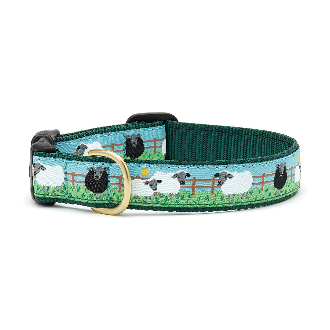 Dog Collars: 1" Wide Counting Sheep Clip Buckle Collar