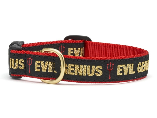 Dog Collars: 5/8" or 1" Wide Evil Genius Collar- Xlarge ONLY - Up ...