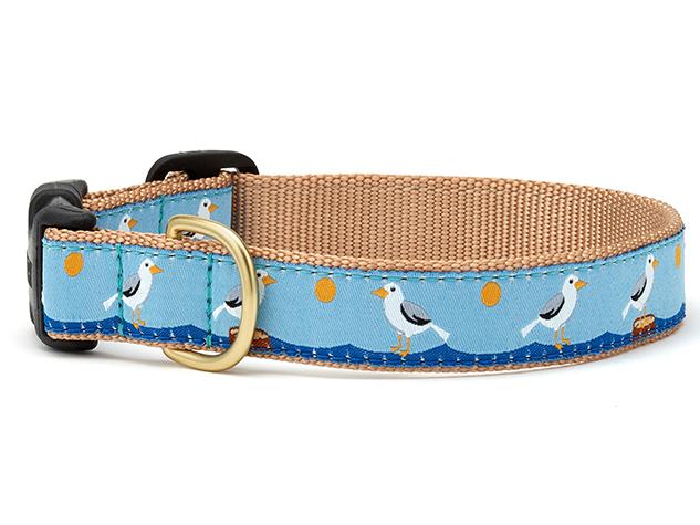 Dog Collars: 1" Wide Gull Watch Clip Buckle Collar
